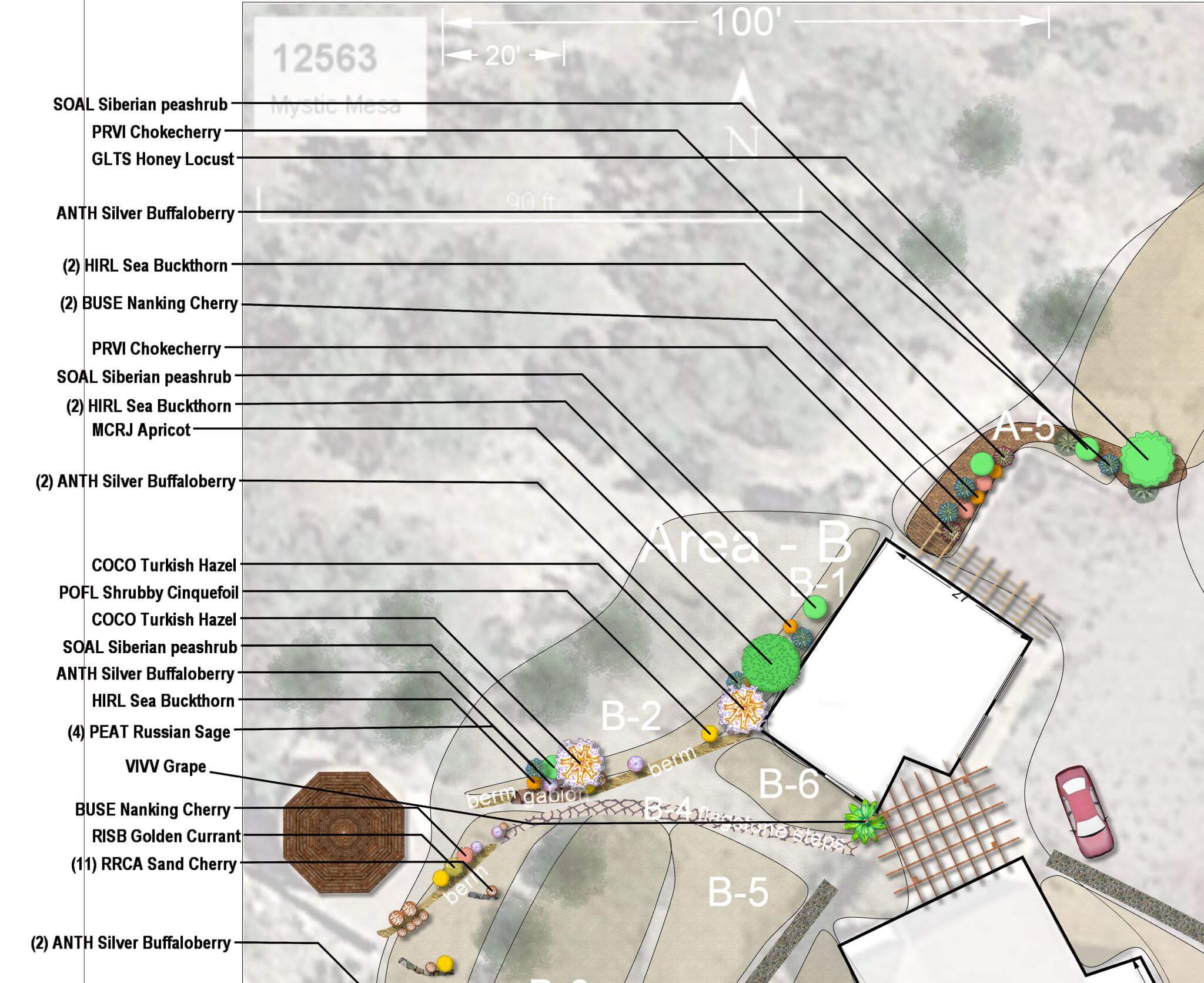 Area-B-Plants - Good Earth Design