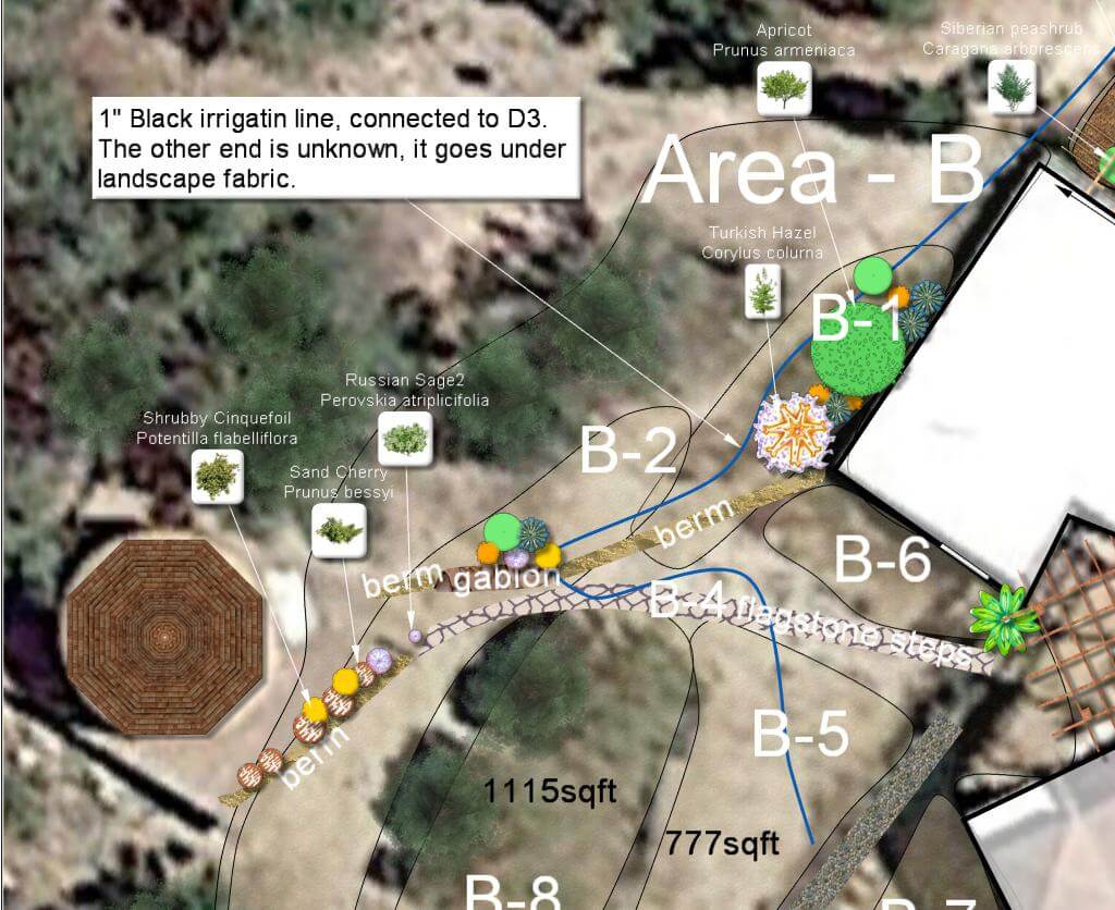 Area-B with plants - Good Earth Design