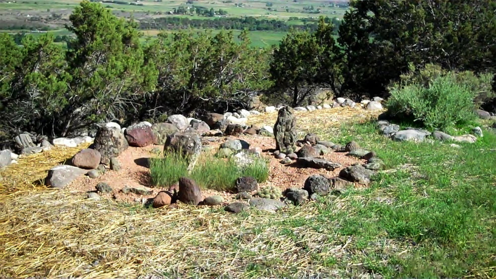Cactus Garden Amidst Native Prarie Landscaping - Good Earth Design